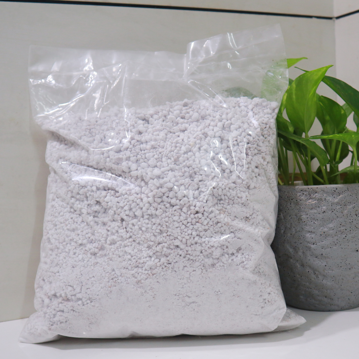 Perlite 250gm – Ponnappan